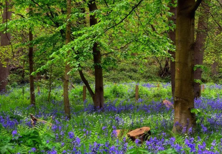 Visiting the Lake District in April - Things to Do and Weather | The ...