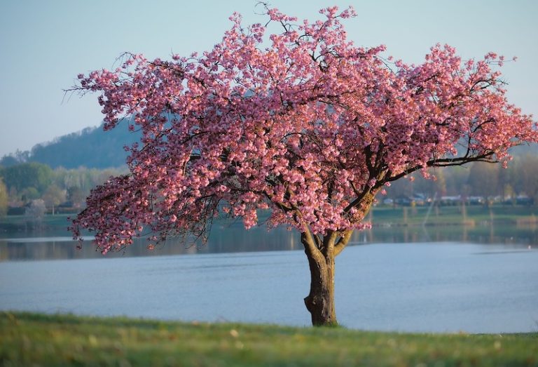 Visiting the Lake District in March - Things to Do and Weather | The ...