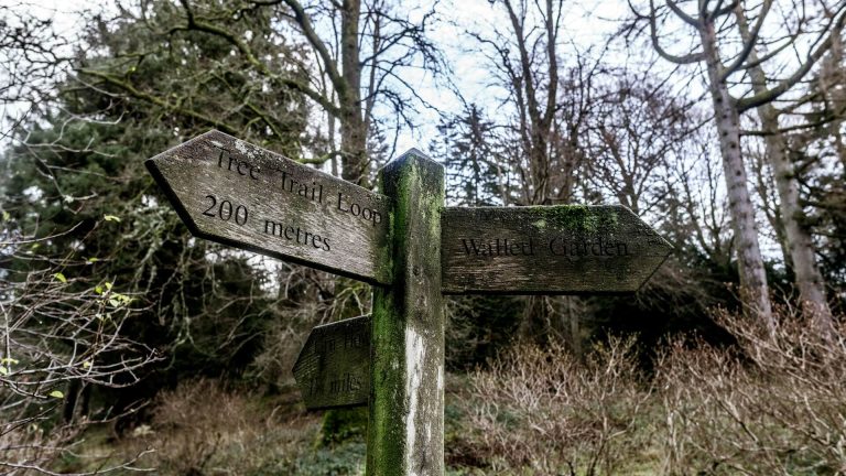 Things to Do in Hawkshead - A Guide to This Charming Lake District ...